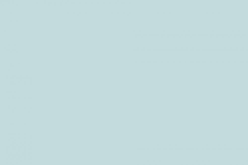 VFA – Vertebral Fracture Assessment Osteoporose.dk